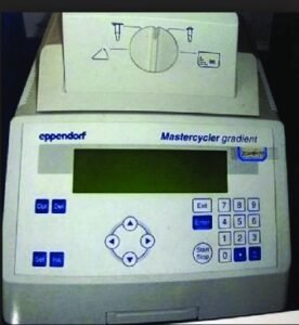 Polymerase Chain Reaction: Introduction, working and Components ...