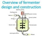 Overview of bioreactor or fermenters - Microbiology Notes