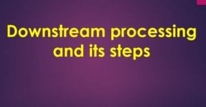 Downstream processing and its steps ~ Microbiology Notes