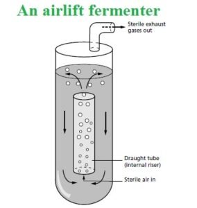 Overview of bioreactor or fermenters - Microbiology Notes