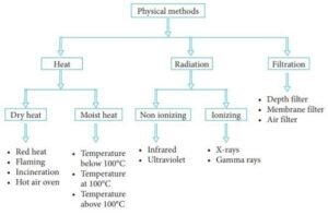 Overview of an antimicrobial agents - Microbiology Notes