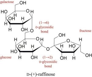 Carbohydrate: Structure, Functions and Types - Microbiology Notes