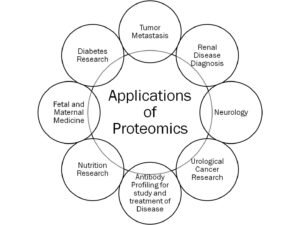 Proteomics: Introduction, Methods, Types and Application