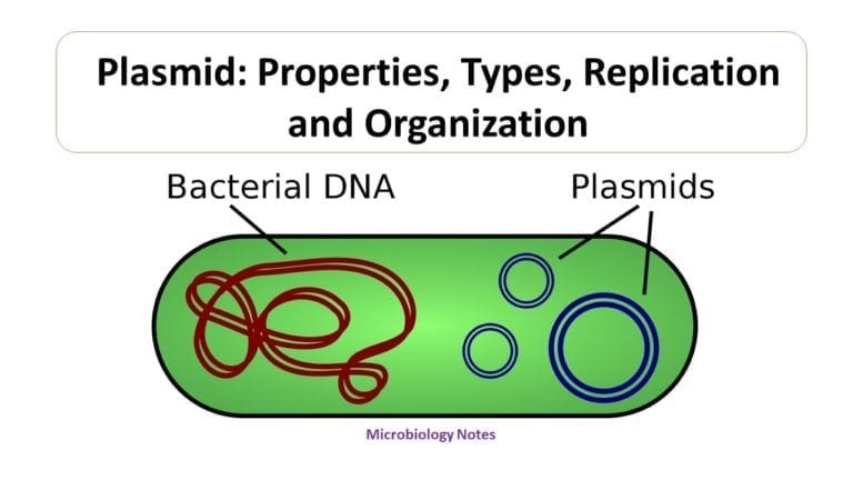 Recombinant DNA Technology Microbiology Notes
