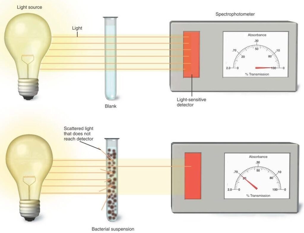 Measurements of microbial growth - Microbiology Notes