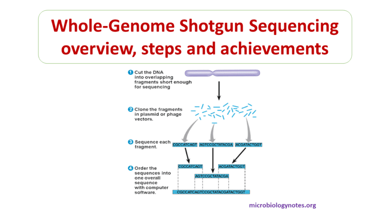Some Achivement of whole-genome sequencing ~ Microbiology Notes