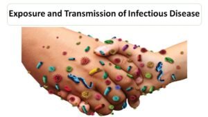 Routes of transmission infectious disease - Microbiology Notes