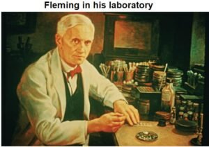 Second Golden Age of Microbiology - Microbiology Notes