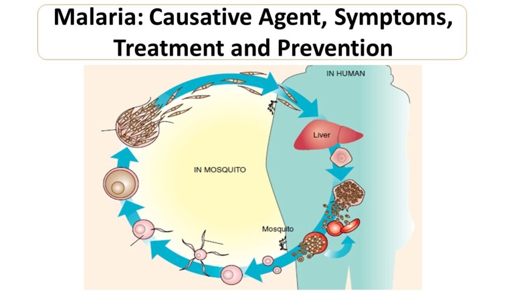 Medical Microbiology Microbiology Notes