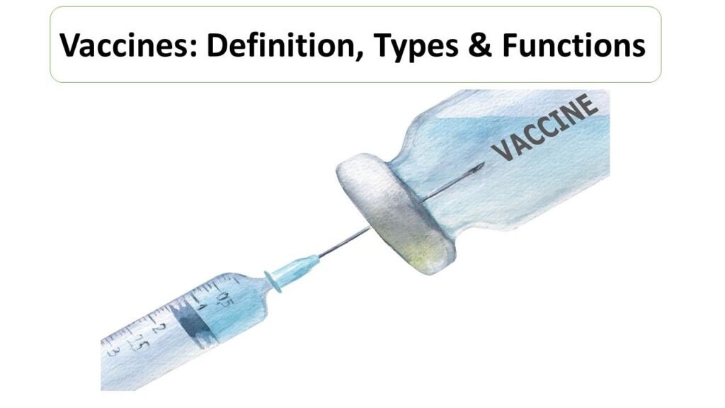 Vaccines: Definition Types & Functions - Microbiology Notes