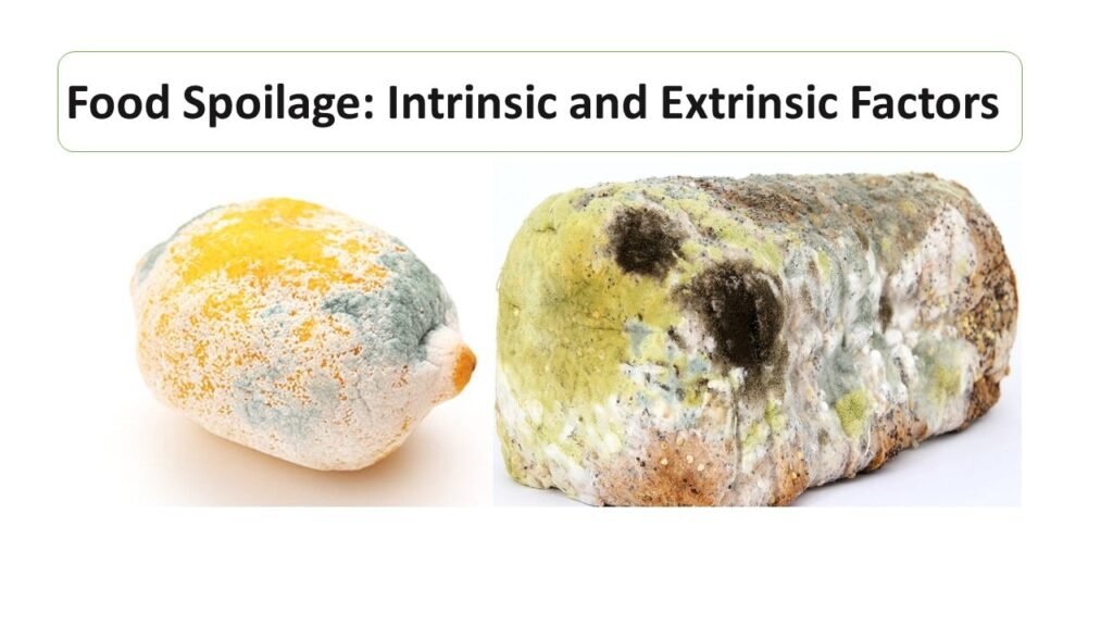 Intrinsic Factors Microbiology Notes Intrinsic Factors Microbiology Notes