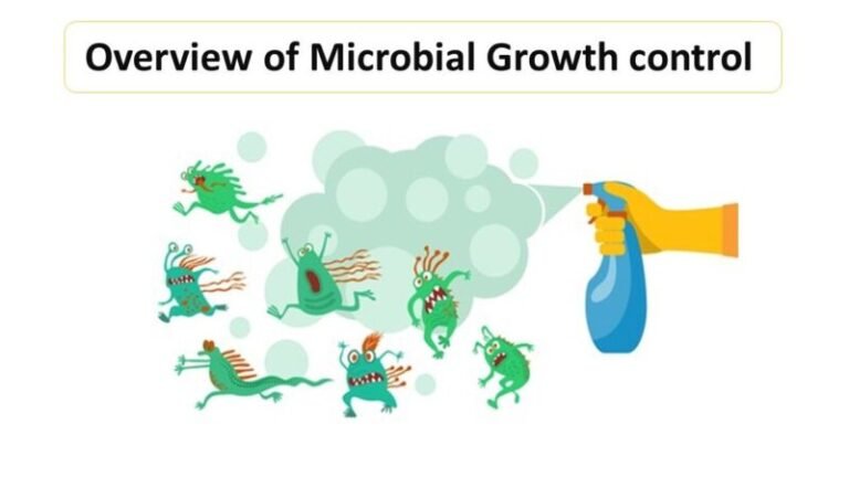 microbial growth control - Microbiology Notes