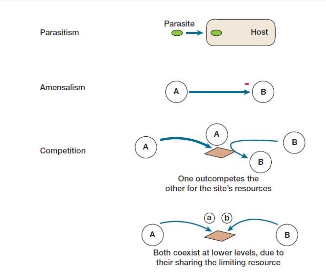 Microbial Interactions in the Environment - Microbiology Notes