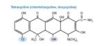 How Antibacterial Drug works? - Microbiology Notes
