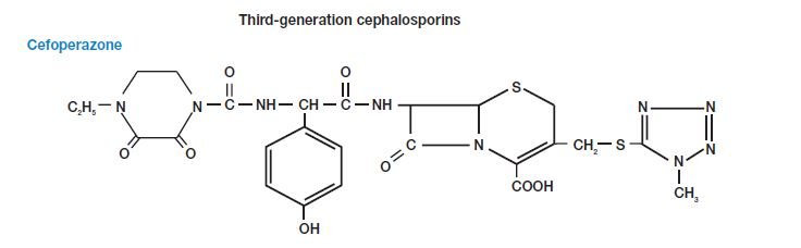 How Antibacterial Drug works? - Microbiology Notes