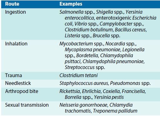 Overview of the Bacterial Pathogenesis - Microbiology Notes