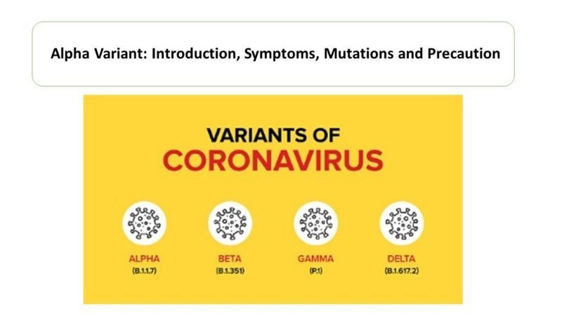 Alpha Variant: Introduction, Symptoms, Mutations and Precaution