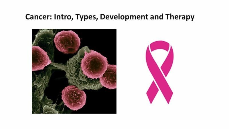Cancer: Intro, Types, Development and Therapy