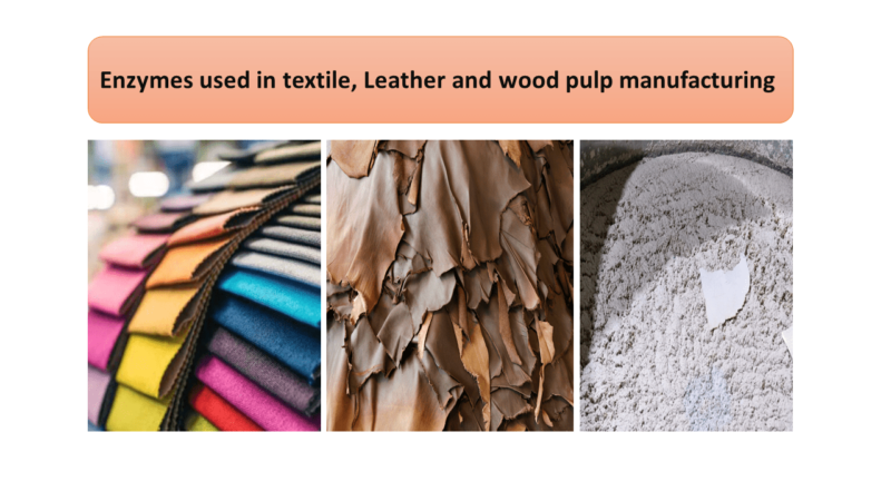 Enzymes used in textile, Leather and wood pulp manufacturing ...