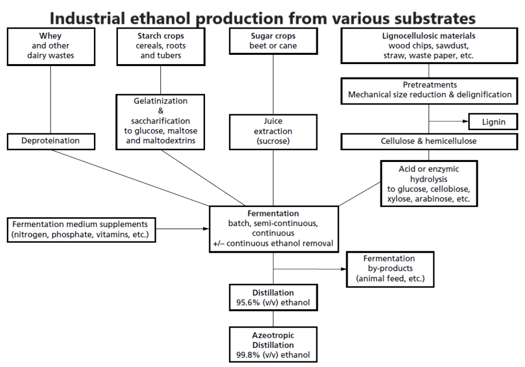 Industrial Production of Ethanol - Microbiology Notes