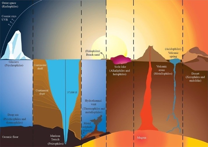 Extremeophiles: Introduction, Biodiversity, Types and Application ...