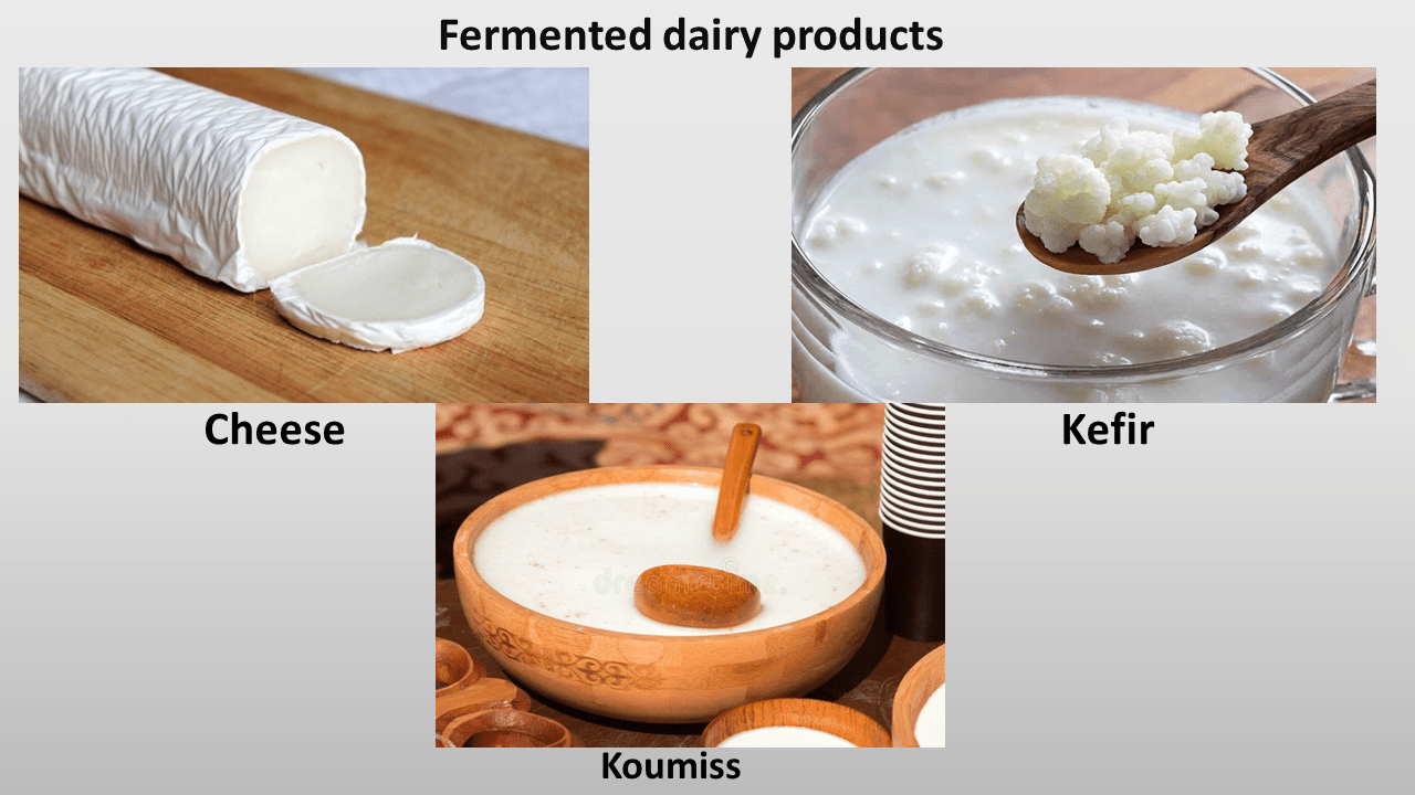 Role of microorganisms in fermentation & fermented foods - Microbiology ...