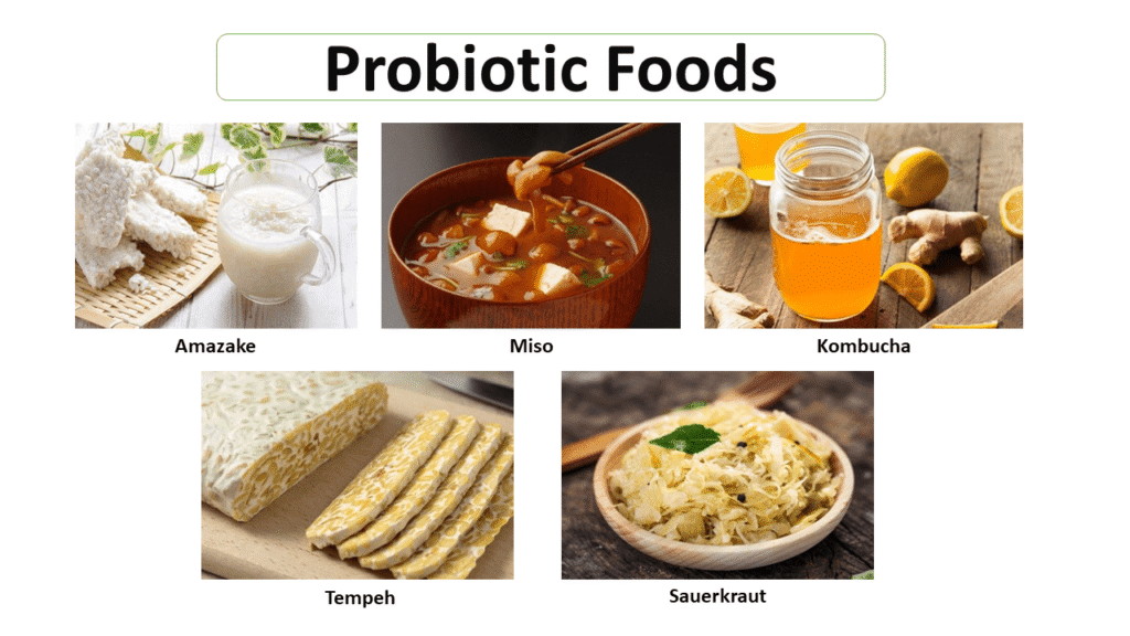 Probiotics: Benefits for Your Gut Health - Microbiology Notes
