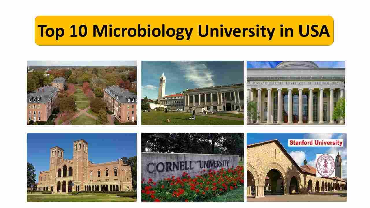 Top 10 Microbiology University in USA - Microbiology Notes