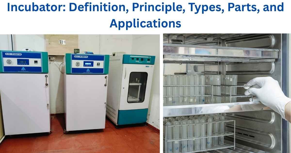 Incubator: Definition, Principle, Types, Parts, and Applications ...