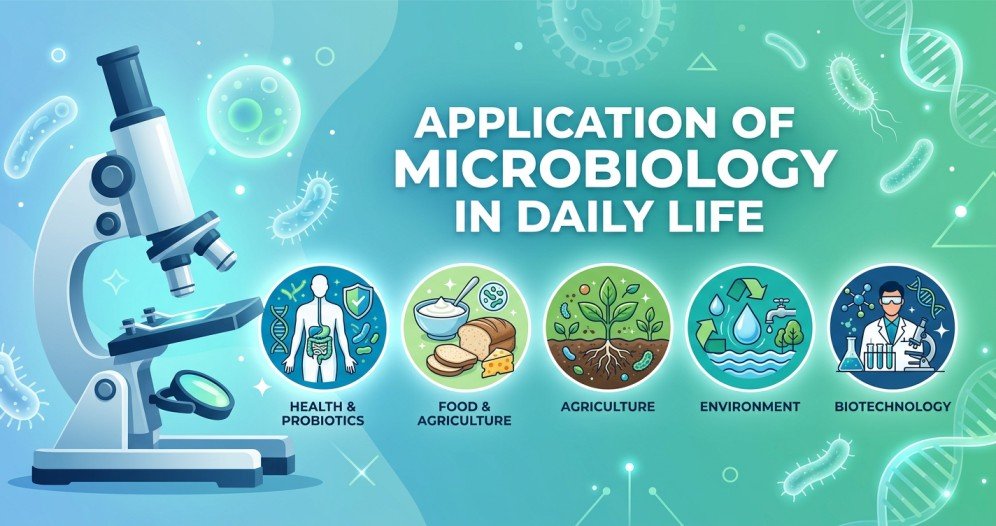 Application of Microbiology in Daily Life: Examples, Uses & Importance